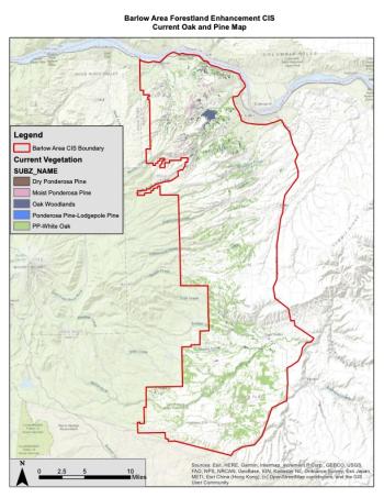 Oregon Department of Fish and Wildlife: Oregon White Oak Management on ...